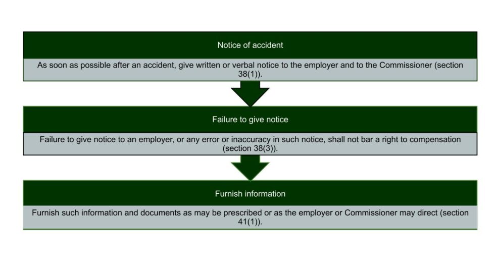 COIDA | Registration of employers with the Compensation Fund and ...