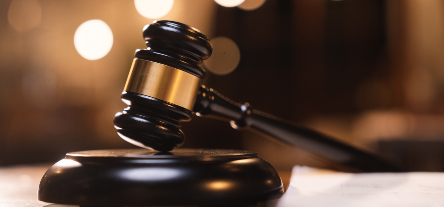 Eskom Rotek Industries SOC Ltd v Geo-X (Pty) Ltd 202141489 [2023 ...